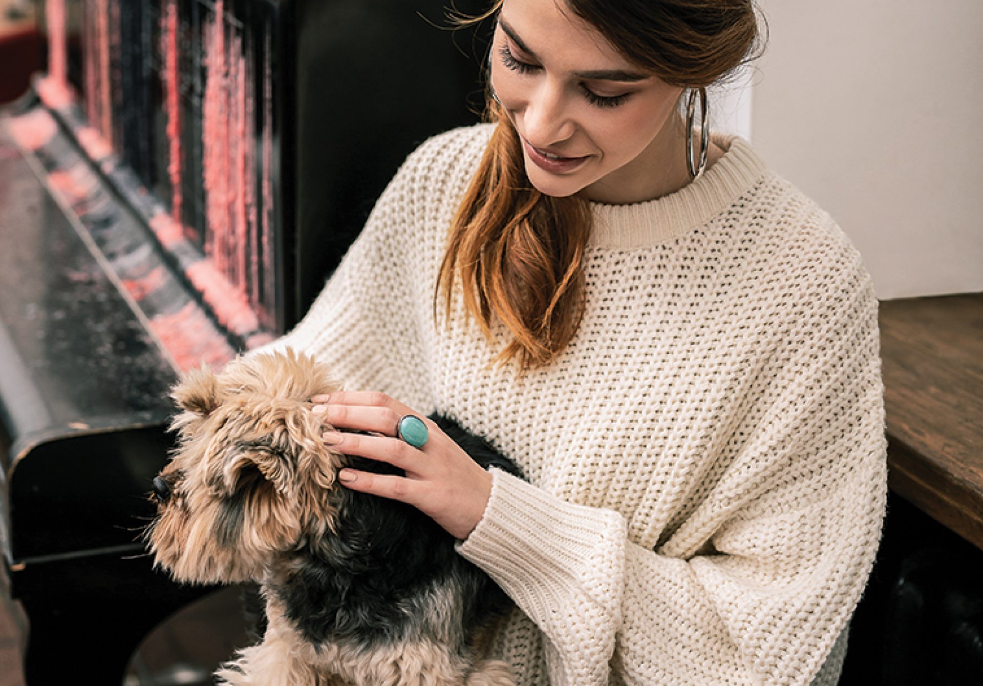 Il pedigree del cane tutto ciò che devi sapere | Pet Family